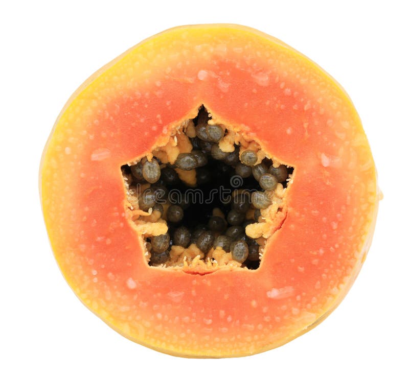 Half of Ripe Papaya Fruit with Rubber Isolated Stock Photo - Image of ...