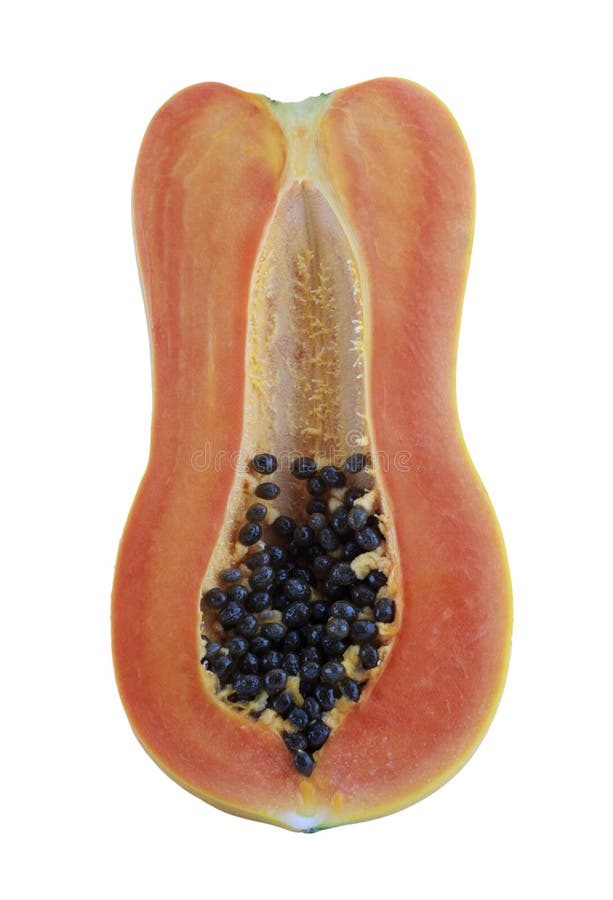 Ripe papaya stock image. Image of food, space, seeds - 75199263