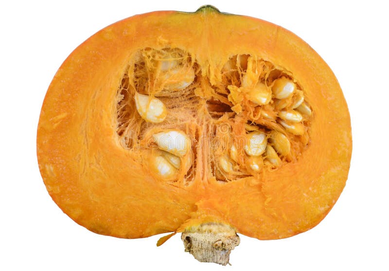 Half of ripe pumpkin stock image. Image of ripe, isolated - 102604867