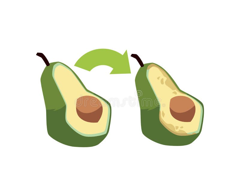 Avocado Process Stock Illustrations – 129 Avocado Process Stock ...