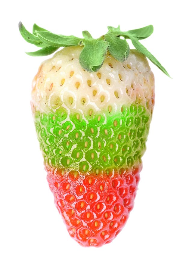 Half ripe strawberry stock image. Image of freshness - 21387697