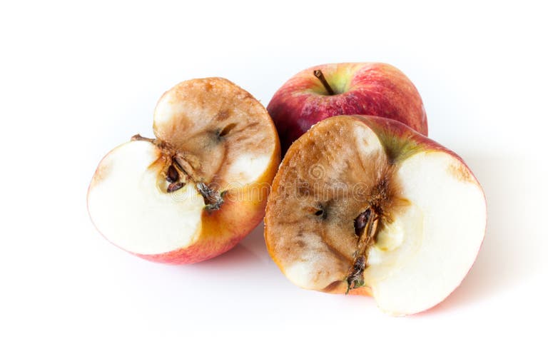 Half of Rotten Apple, Spoiled Food Stock Photo - Image of spoiled ...