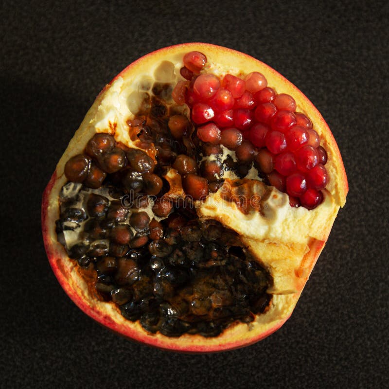 Half of rotten apple stock photo. Image of apple, inside - 34143916