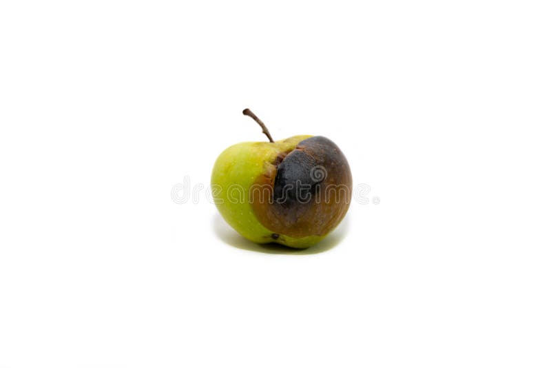 2,549 Rotten Green Apple Stock Photos - Free & Royalty-Free Stock ...