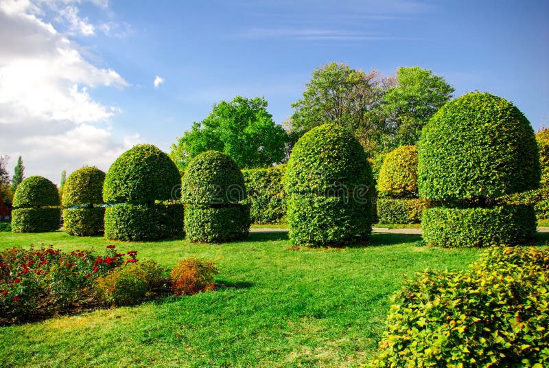 Half round shaped trees stock photo. Image of fantasy - 118329672