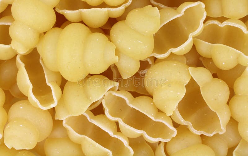 Half Shell Shaped Pasta Close View Stock Photo - Image of nutritious ...
