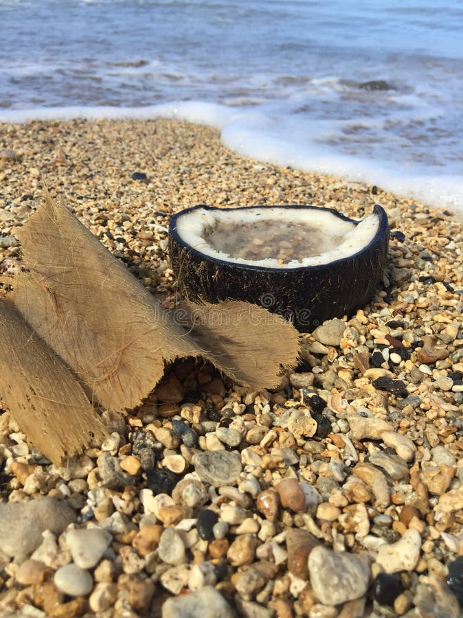 Coconut wave stock image. Image of shell, wave, water - 123014427