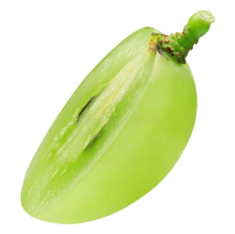 Single Green Grape Isolated on a White Background Stock Image - Image ...