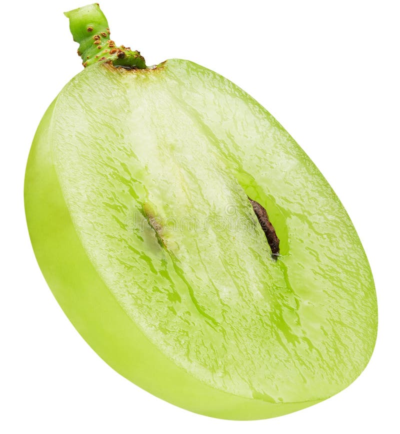 Single Green Grape Isolated on a White Background Stock Image - Image ...