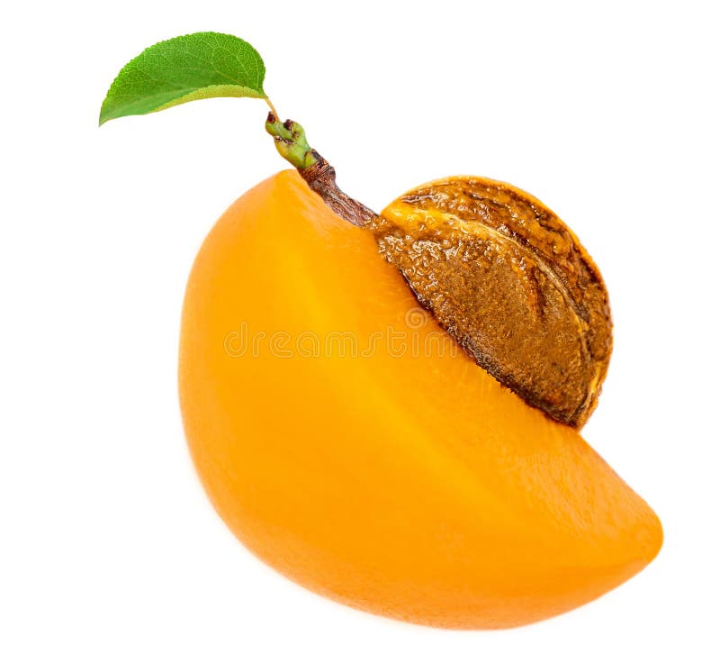 833 Peach Core Isolated White Stock Photos - Free & Royalty-Free Stock ...