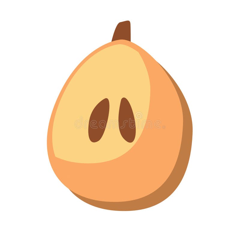 Ciku Sapodilla Background Stock Illustrations – 5 Ciku Sapodilla ...