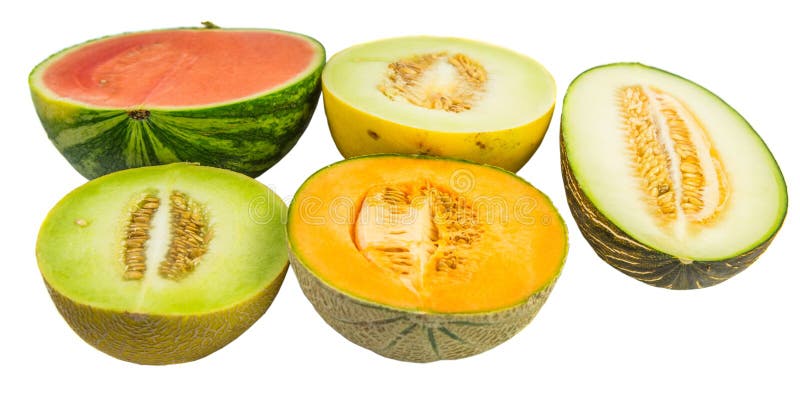 Half Sliced Melons VIi stock photo. Image of group, vegetarian - 31745622