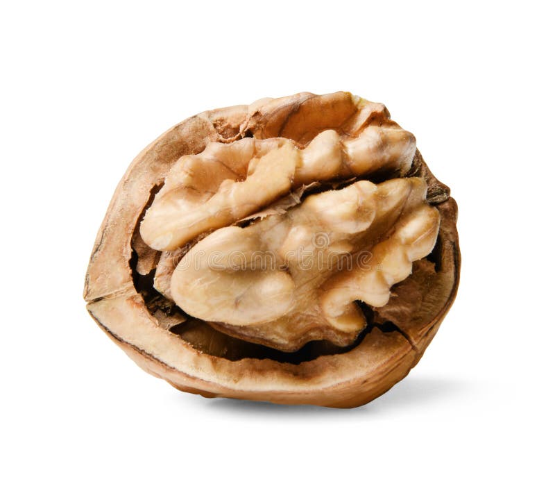 Half of a Split Walnut in a Shell, a Beautiful Textured Walnut in a ...