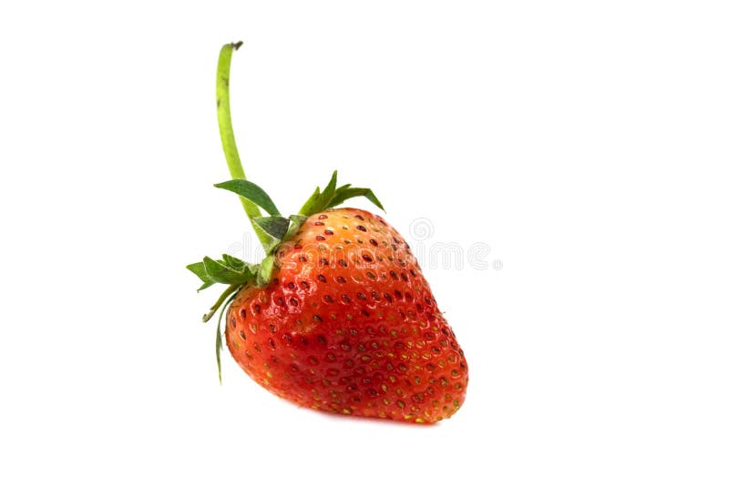 Half strawberry fruit stock image. Image of strawberry - 141737813