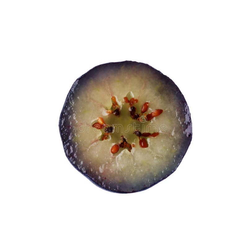 Half of Tasty Fresh Blueberry Isolated on White Stock Image - Image of ...