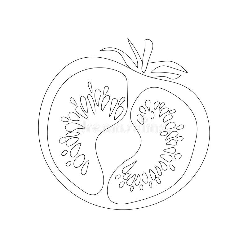 Half Tomato Slice Outline in Cartoon Style Stock Vector - Illustration ...