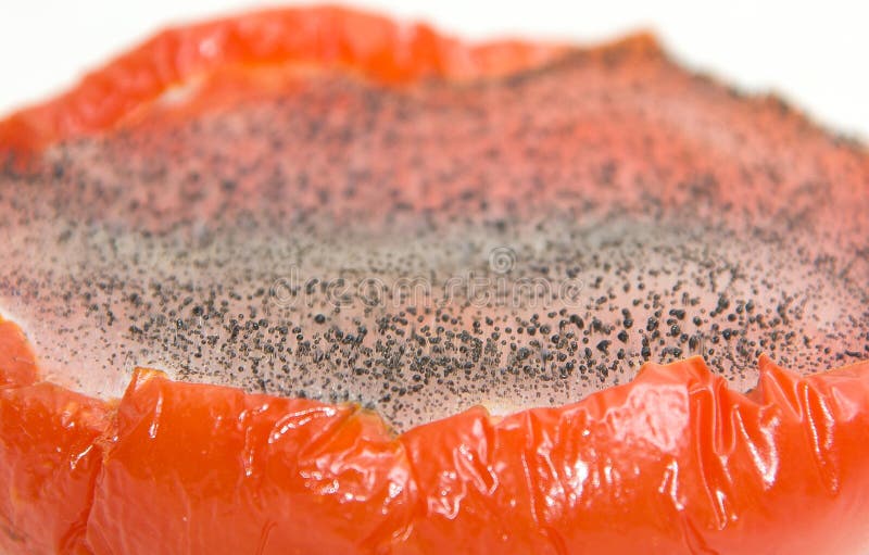 Rotten tomato 2 stock image. Image of rotten, fruits, perish - 1541695