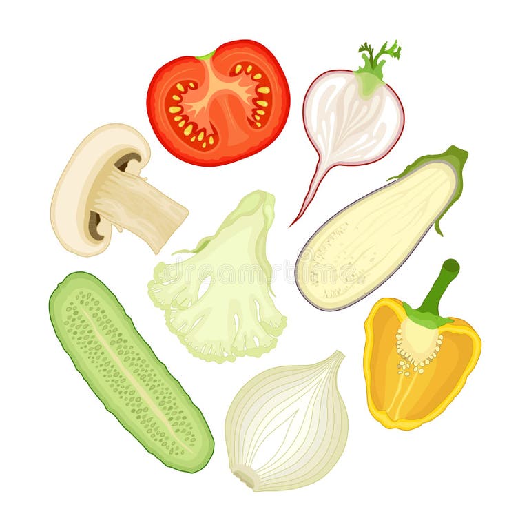 Half Vector Illustration Stock Illustrations – 209,751 Half Vector ...