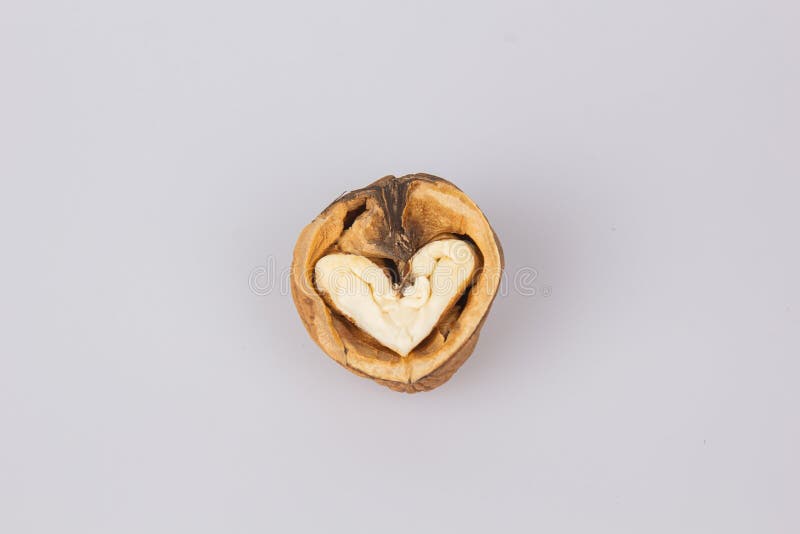 Half a Walnut with a Heart Shape in the Middle. the Concept of Love for ...