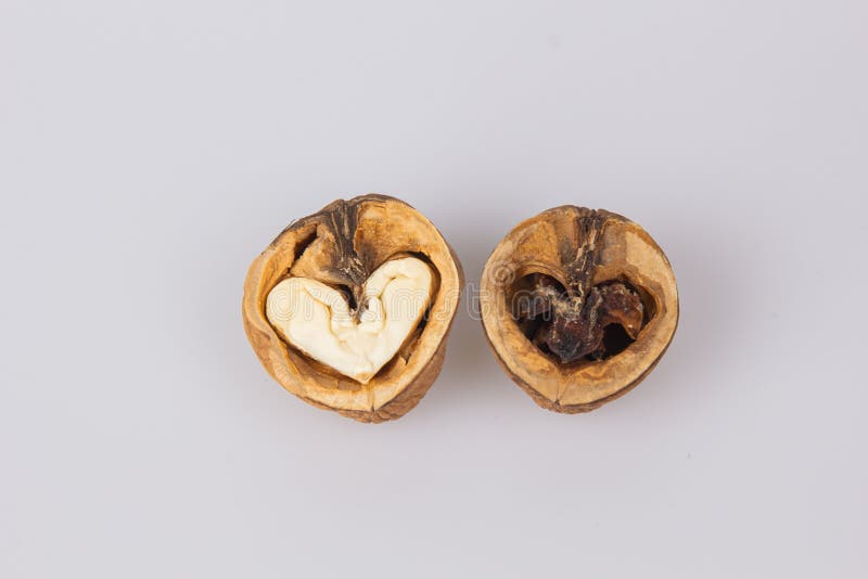 Half a Walnut with a Heart Shape in the Middle. the Concept of Love for ...