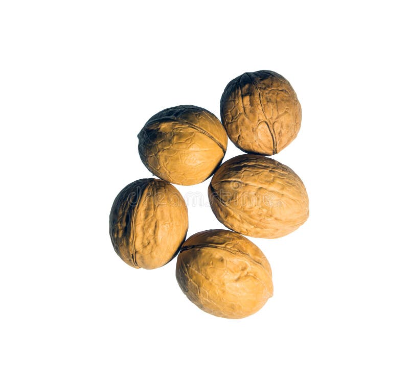 Half Walnut Isolate on a White Background Stock Photo - Image of ...