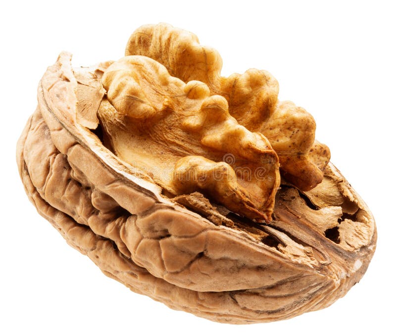 Half of Walnut Isolated on a White Background Stock Photo - Image of ...