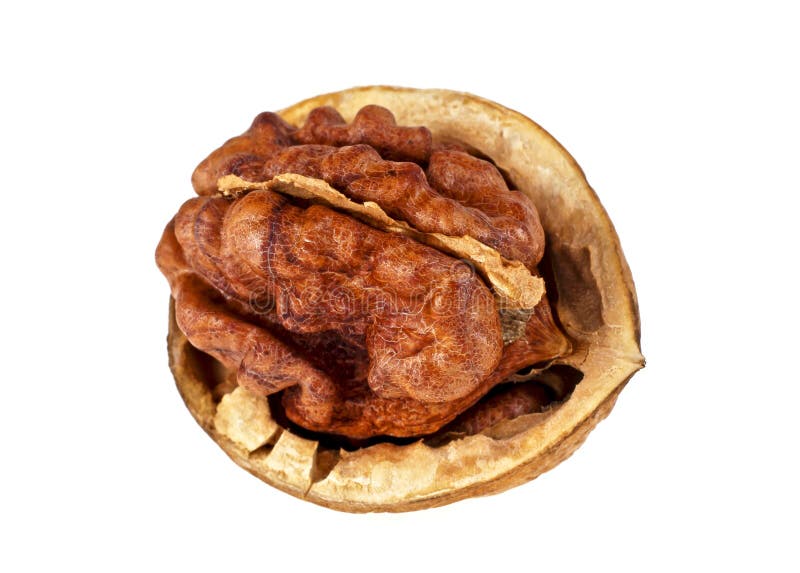 Half Walnut Shell Cracked Open Isolated Stock Photo - Image of health ...