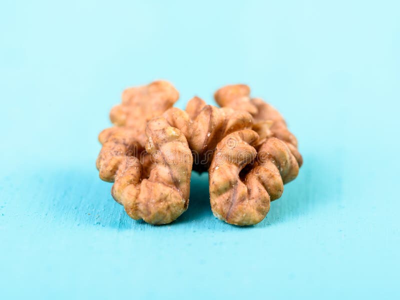 Half Walnut Kernel on Blue stock photo. Image of blue - 64573558