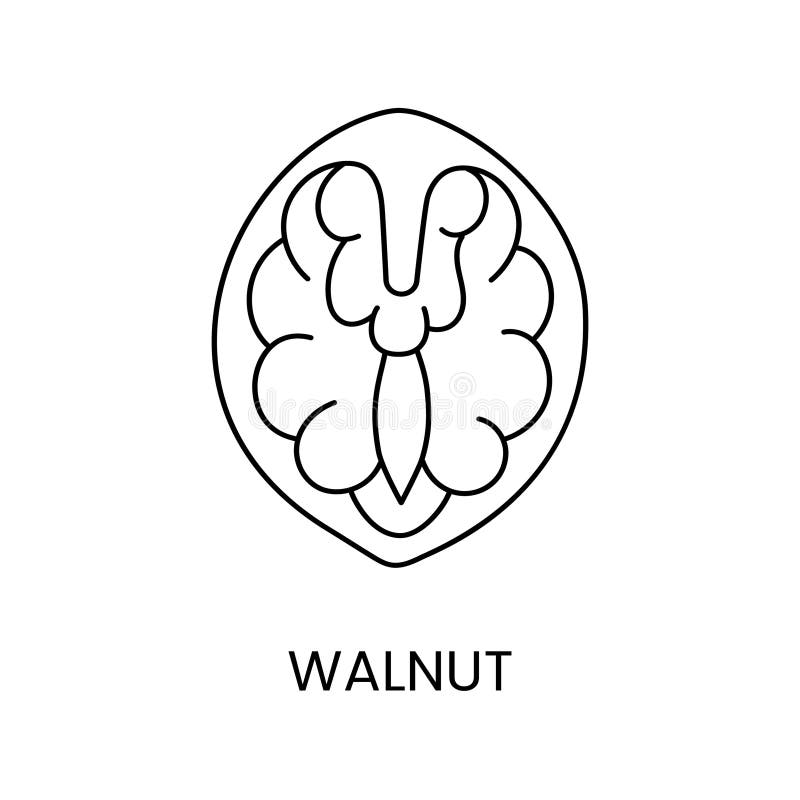 Set of vector nuts banners stock vector. Illustration of packaging ...