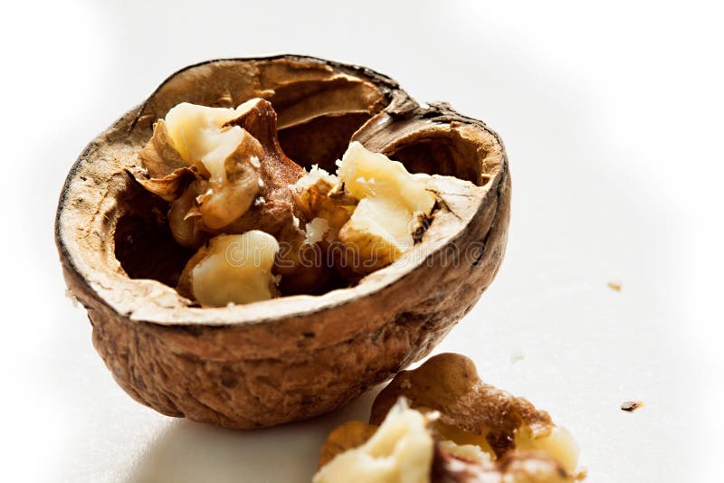 Half Walnut Shell Cracked Open Isolated Stock Photo - Image of ...
