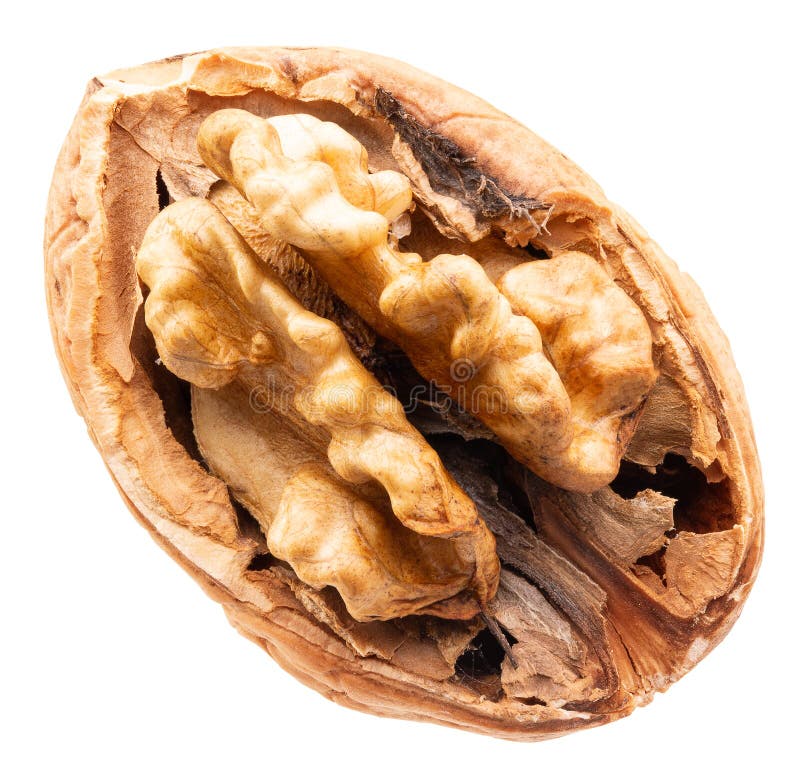 6,857 Walnut Half Shell Stock Photos - Free & Royalty-Free Stock Photos ...
