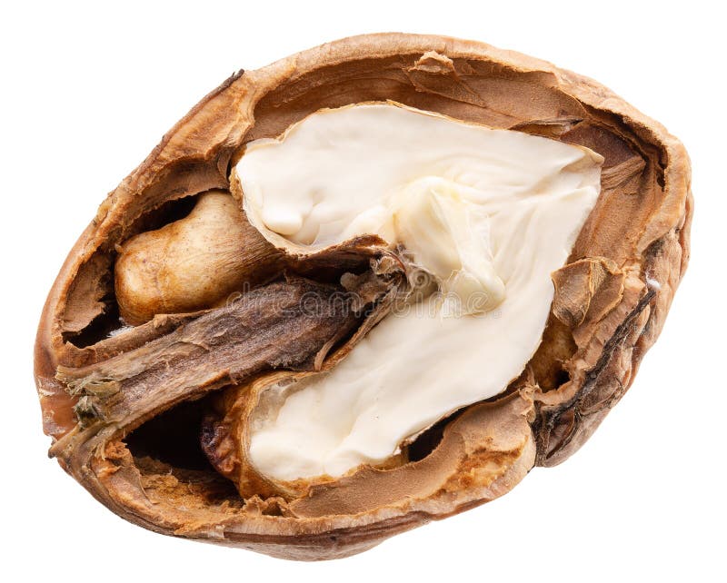 6,857 Walnut Half Shell Stock Photos - Free & Royalty-Free Stock Photos ...