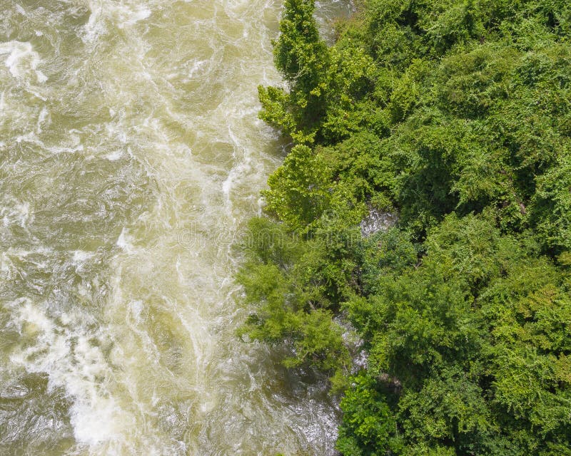 Half Water Half Green Foliage Torturous Water Stock Photo - Image of ...