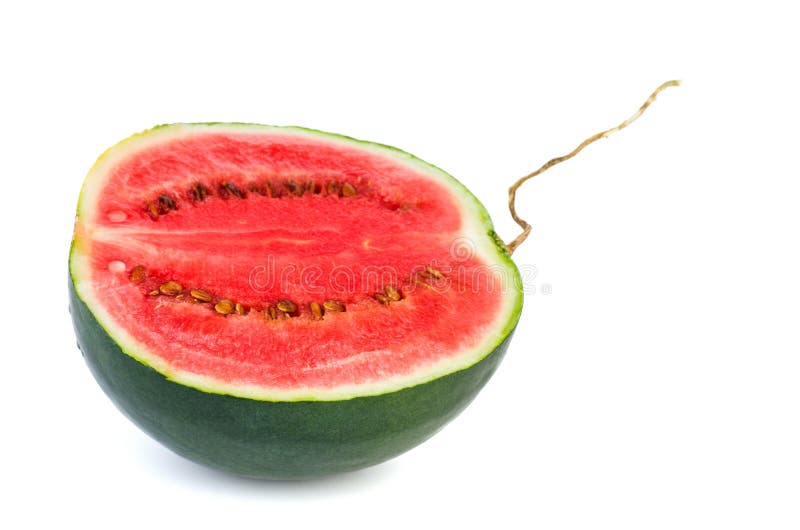 Half of watermelon stock photo. Image of healthy, vegan - 152531320