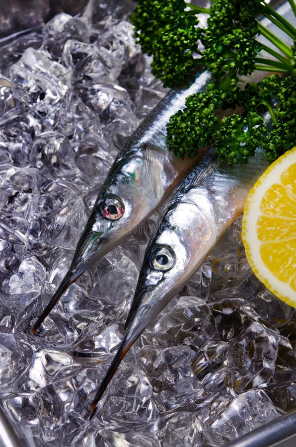 111 Japanese Halfbeak Stock Photos - Free & Royalty-Free Stock Photos ...