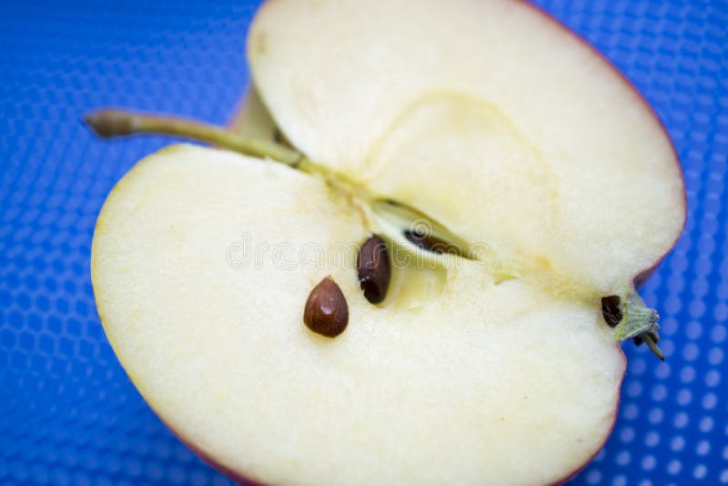 Halve appel en naald stock afbeelding. Image of sectie - 27014227