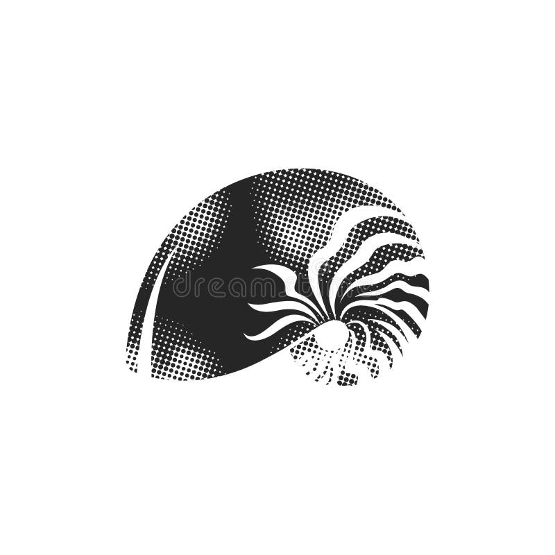 Paua Stock Illustrations – 35 Paua Stock Illustrations, Vectors ...