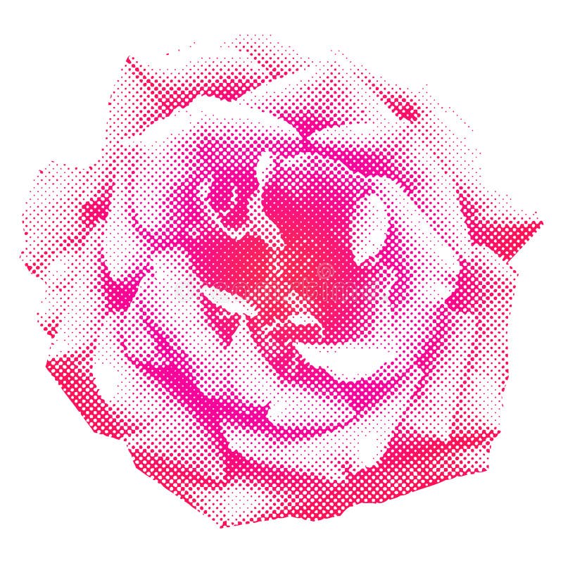 Halftone rose stock illustration. Illustration of color - 17146812