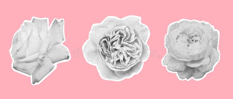 Halftone Rose Flower stock vector. Illustration of isolated - 365433026