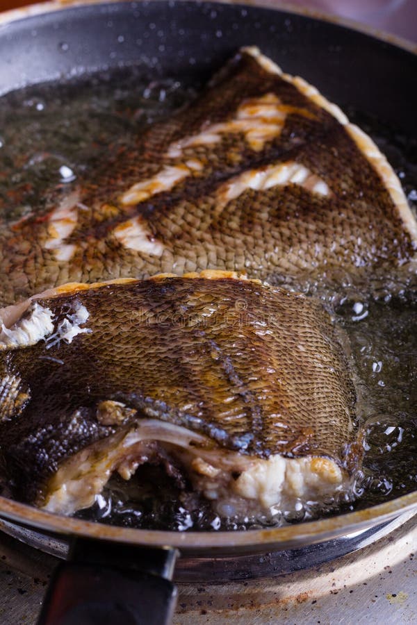 Halibut on a frying pan. stock photo. Image of cuisine - 76016432