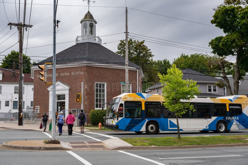 Halifax Transit Bus on the Street Editorial Photography - Image of ...