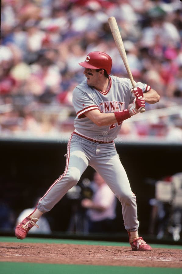 Hall Morris Cincinnati Reds Editorial Stock Image - Image of baseball ...
