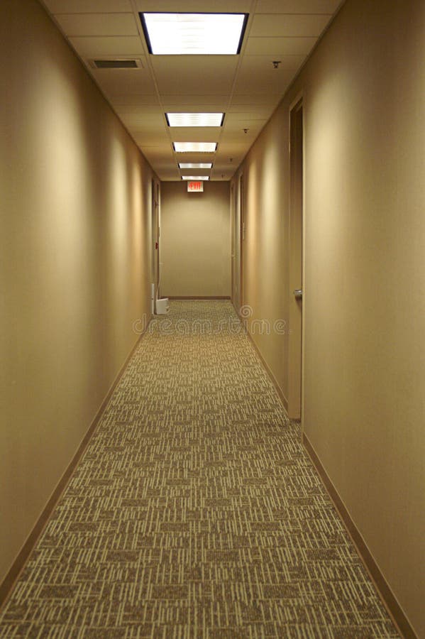Dual Hallways stock image. Image of hallway, carpet, pathway - 372937