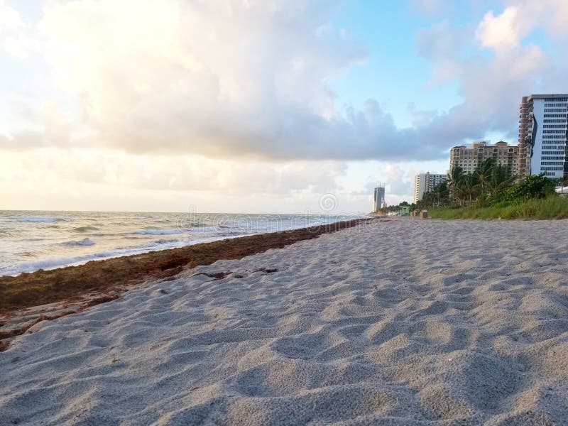 Hallandale Beach Florida Sandy Beach during Sunrise. Stock Photo ...