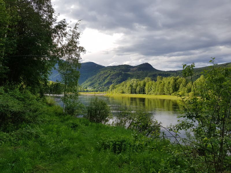 Summer by the lake stock photo. Image of warm, trees - 99581764