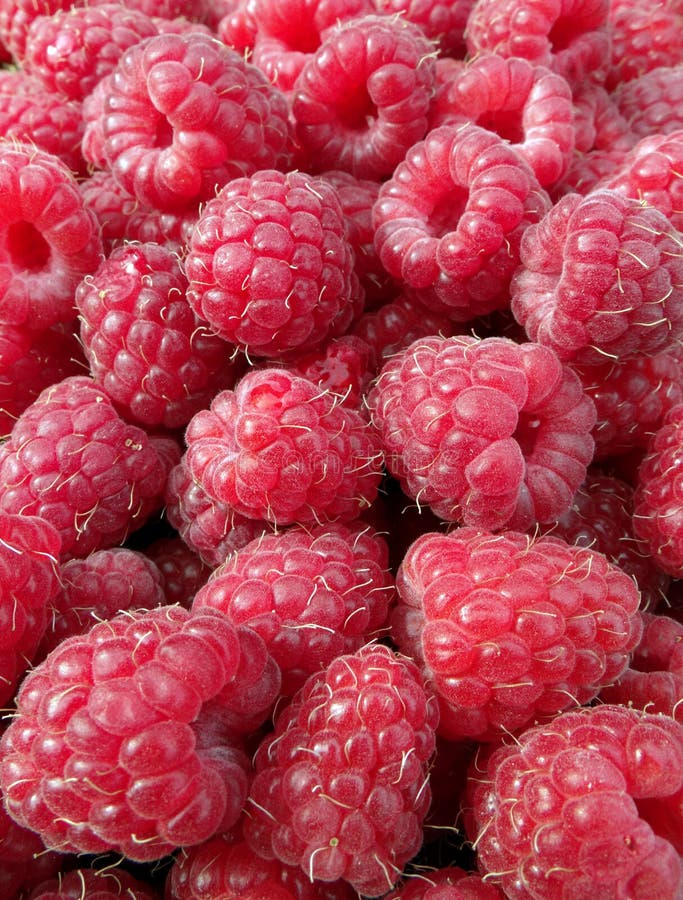 Hallon Stock Foton , bilder och fotografi - Ladda ner 282,797 foton