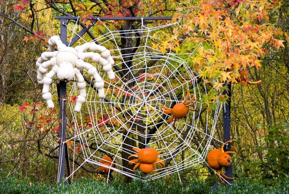 1,347 Halloween Decorations Park Stock Photos - Free & Royalty-Free ...