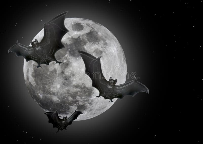 Bats Flying In The Moonlight Stock Photo - Image of stars, night: 61926180