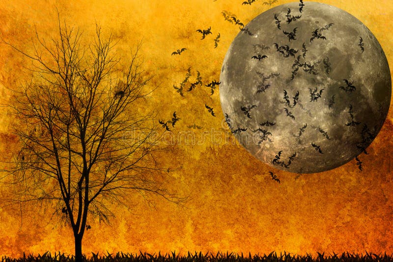 Spooky Forest with Full Moon and Wooden Table Stock Illustration ...