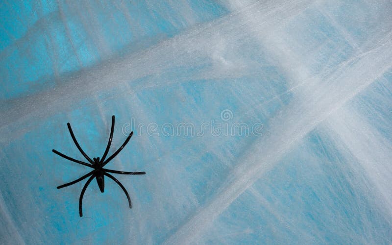 Halloween Background Concept. Black Spider on Cobweb and Blue Ba Stock ...